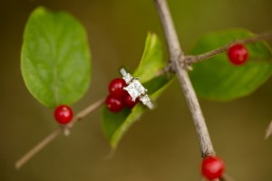 Jered and Abby :: Faust Park Engagement Photographer