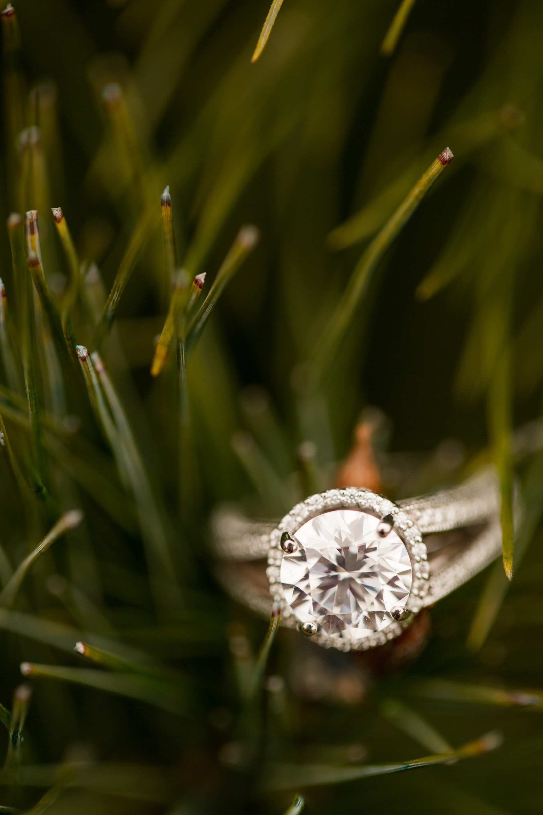 Kent and Haylee | St. Louis Wedding Photography :: Jessica Lauren ...