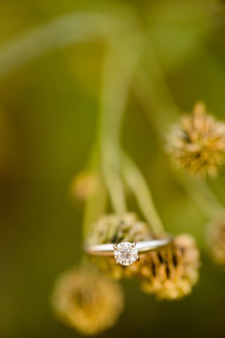 Best of 2015 Ring Shots :: St. Louis Wedding Photographer
